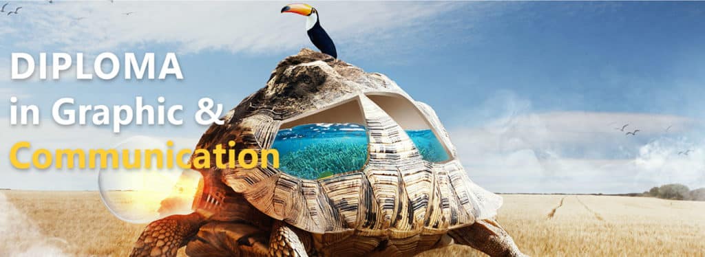 Best Diploma in Graphic Design in Bangalore|100% Job Assured