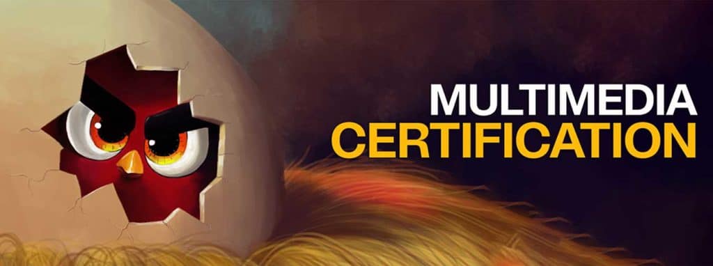 Diploma in Animation, Multimedia, Gaming and Vfx | Animaster